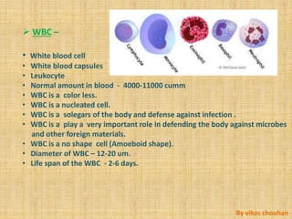 Blood Anatomy and Physiology by Vikas Chouhan | PPTX