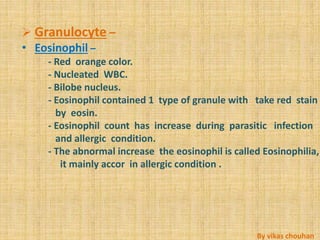 Blood Anatomy and Physiology by Vikas Chouhan | PPT