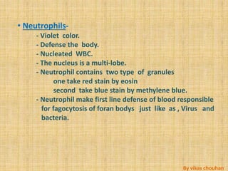 Blood Anatomy and Physiology by Vikas Chouhan | PPT