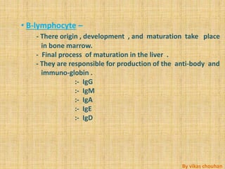 Blood Anatomy and Physiology by Vikas Chouhan | PPTX