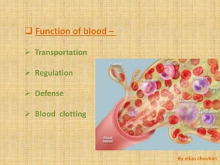 Blood Anatomy and Physiology by Vikas Chouhan | PPTX