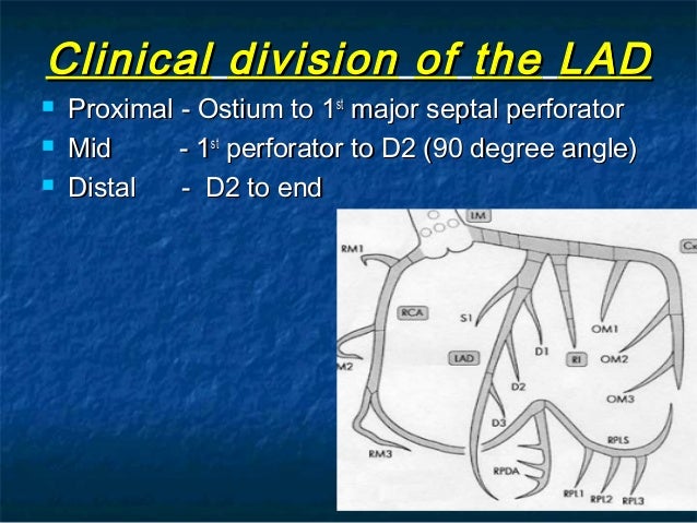 Blood supply of heart (1)