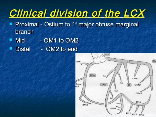 Blood supply of heart (1)