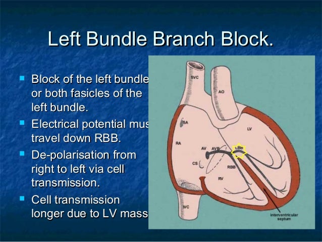 Blood supply of heart (1)