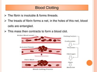 Blood PPT | PPTX