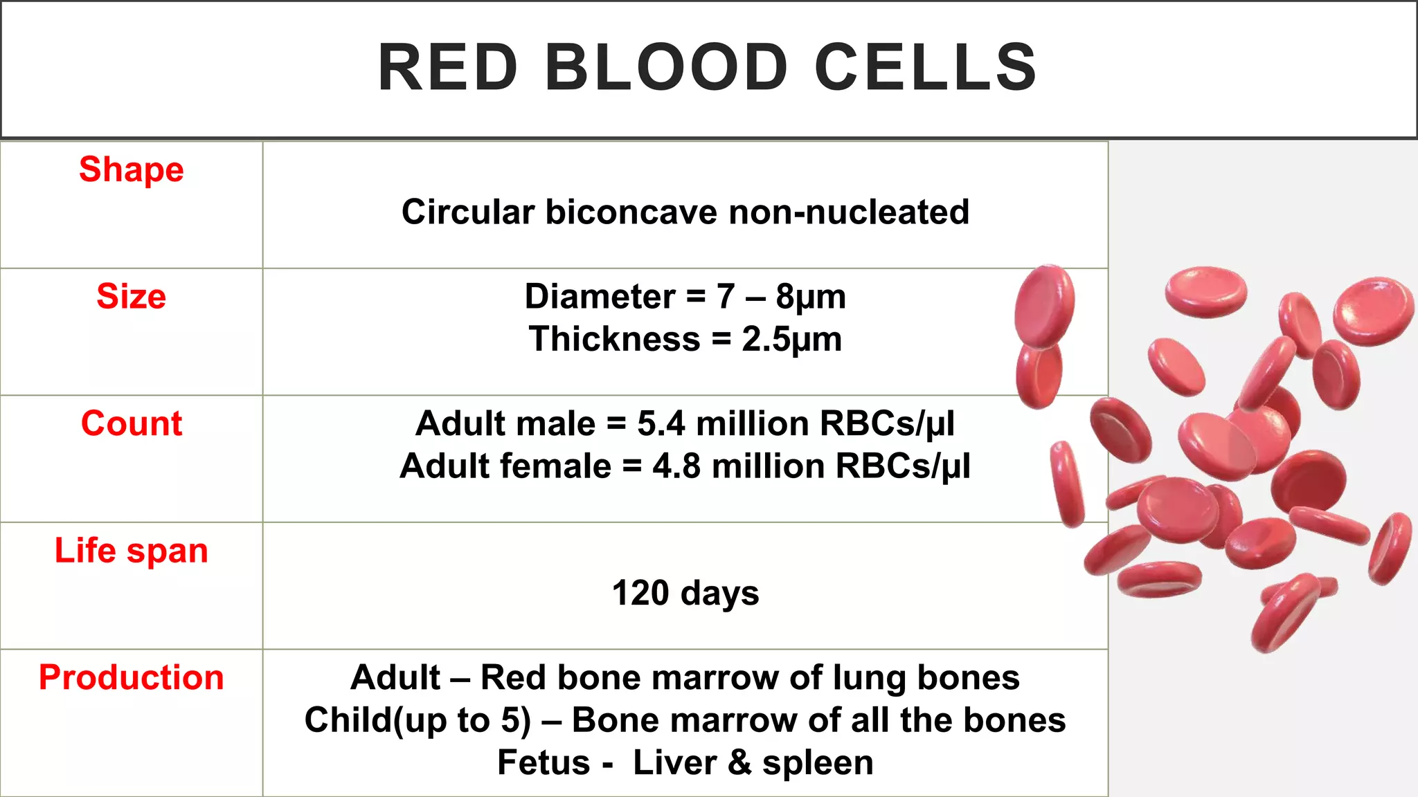 Blood | PPTX