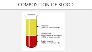 Blood | PPTX