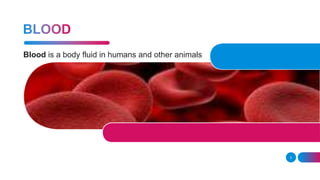 Blood | PPTX