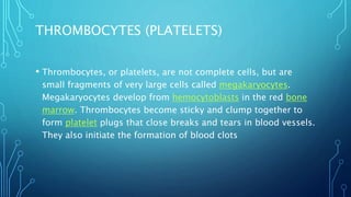 Blood its type and examination | PPT
