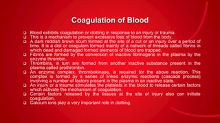 Blood | PPTX