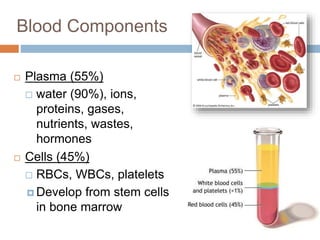 Blood.ppt