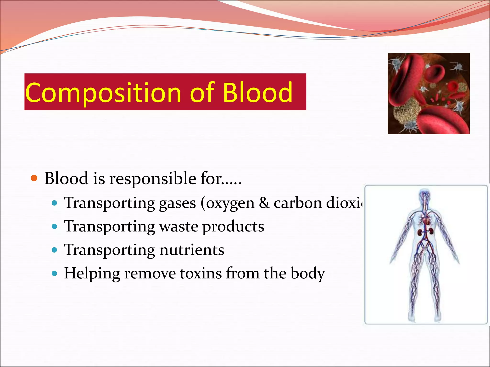 blood.ppt | Blood Disorders | Diseases and Conditions