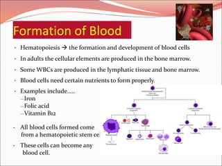 blood.ppt | Blood Disorders | Diseases and Conditions