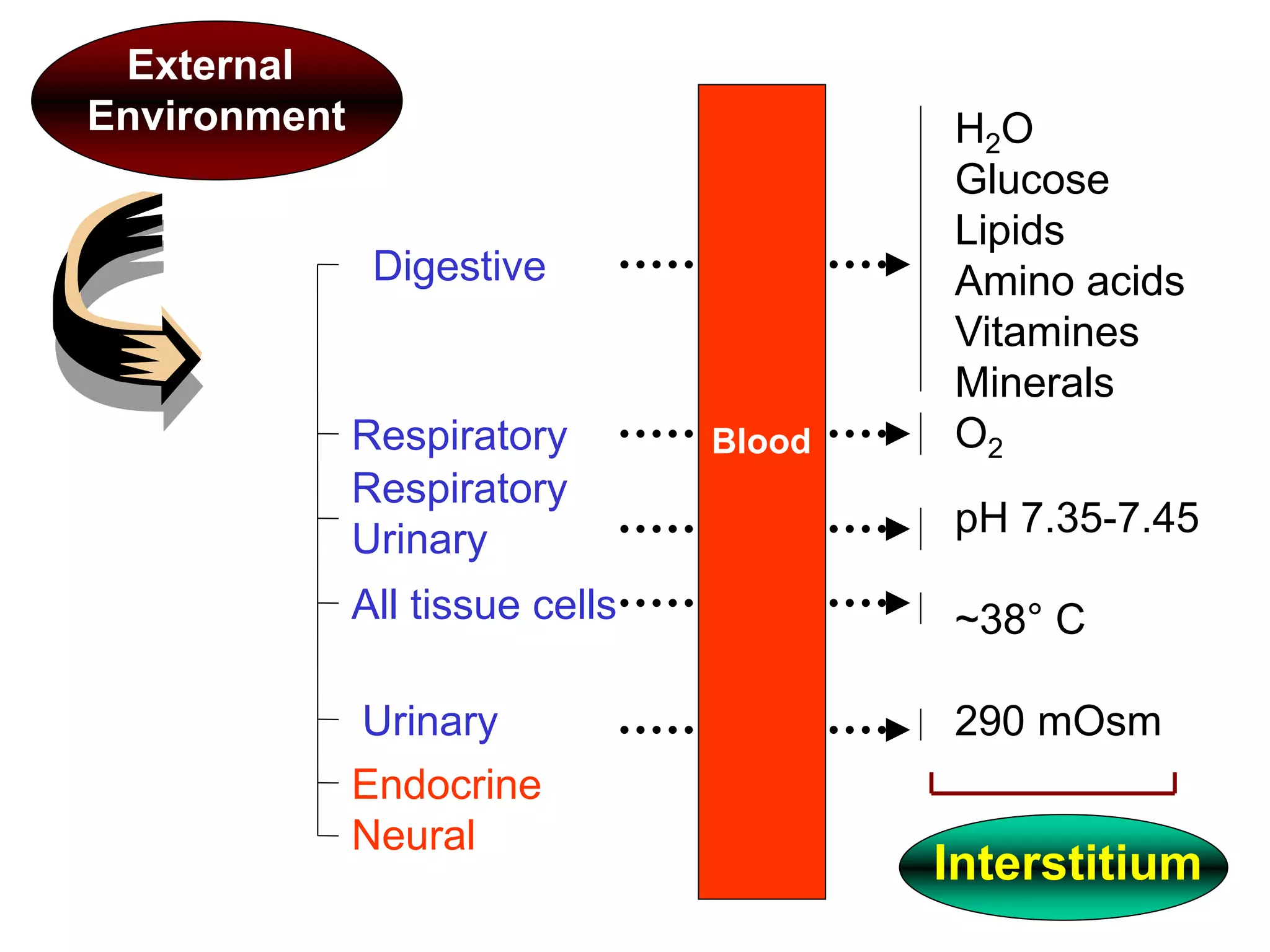 Blood.ppt