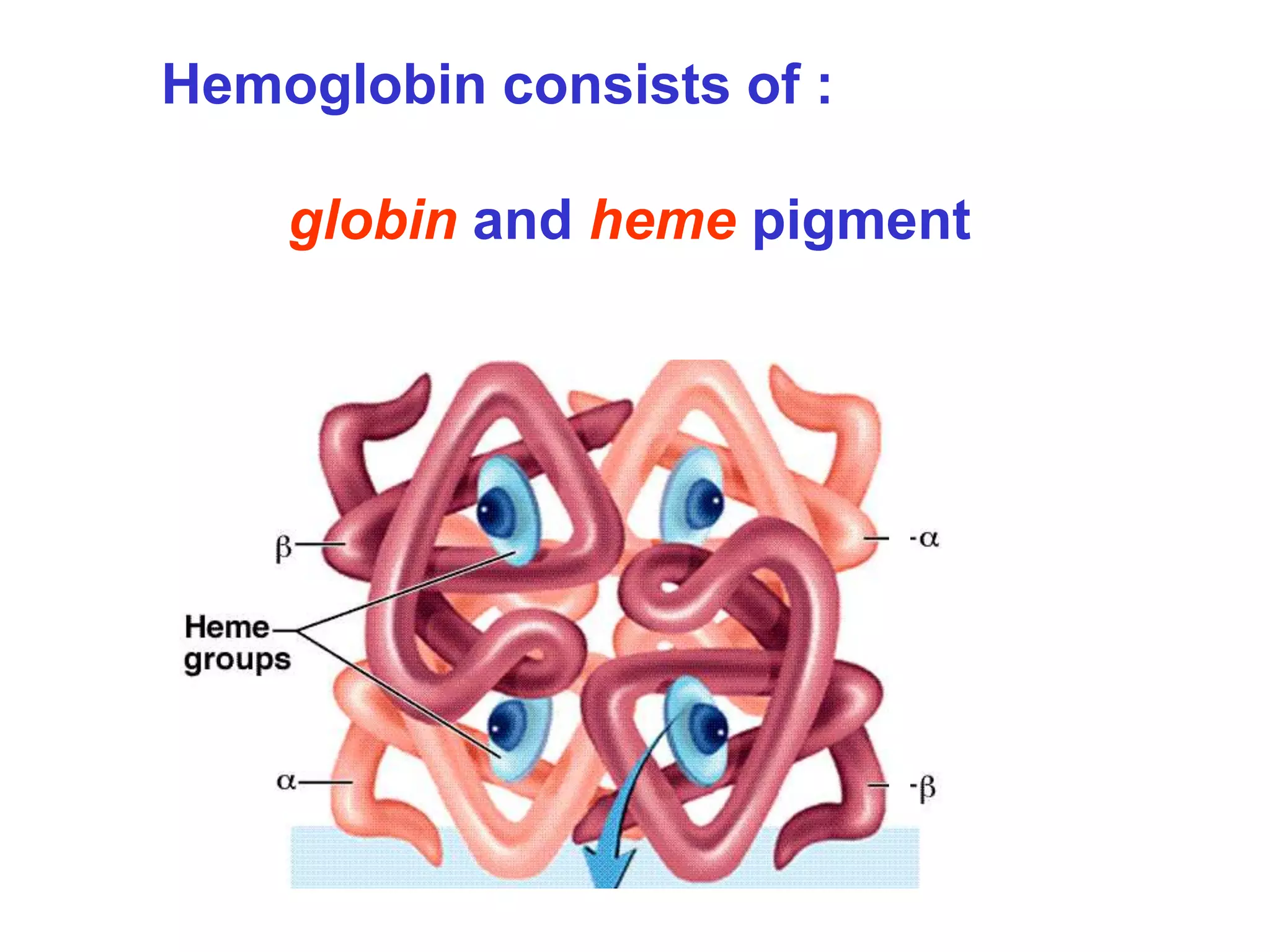 Blood.ppt