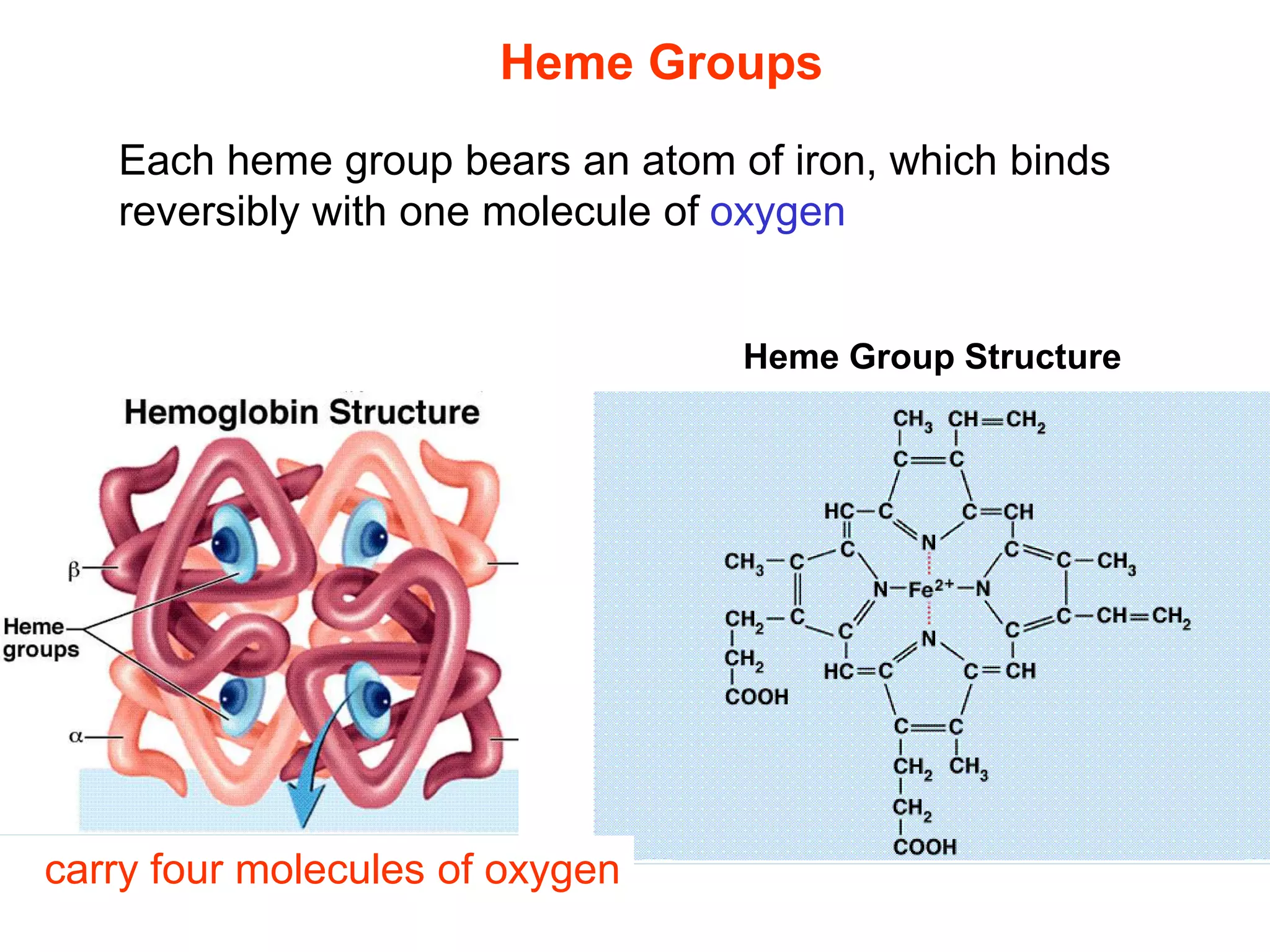 Blood.ppt