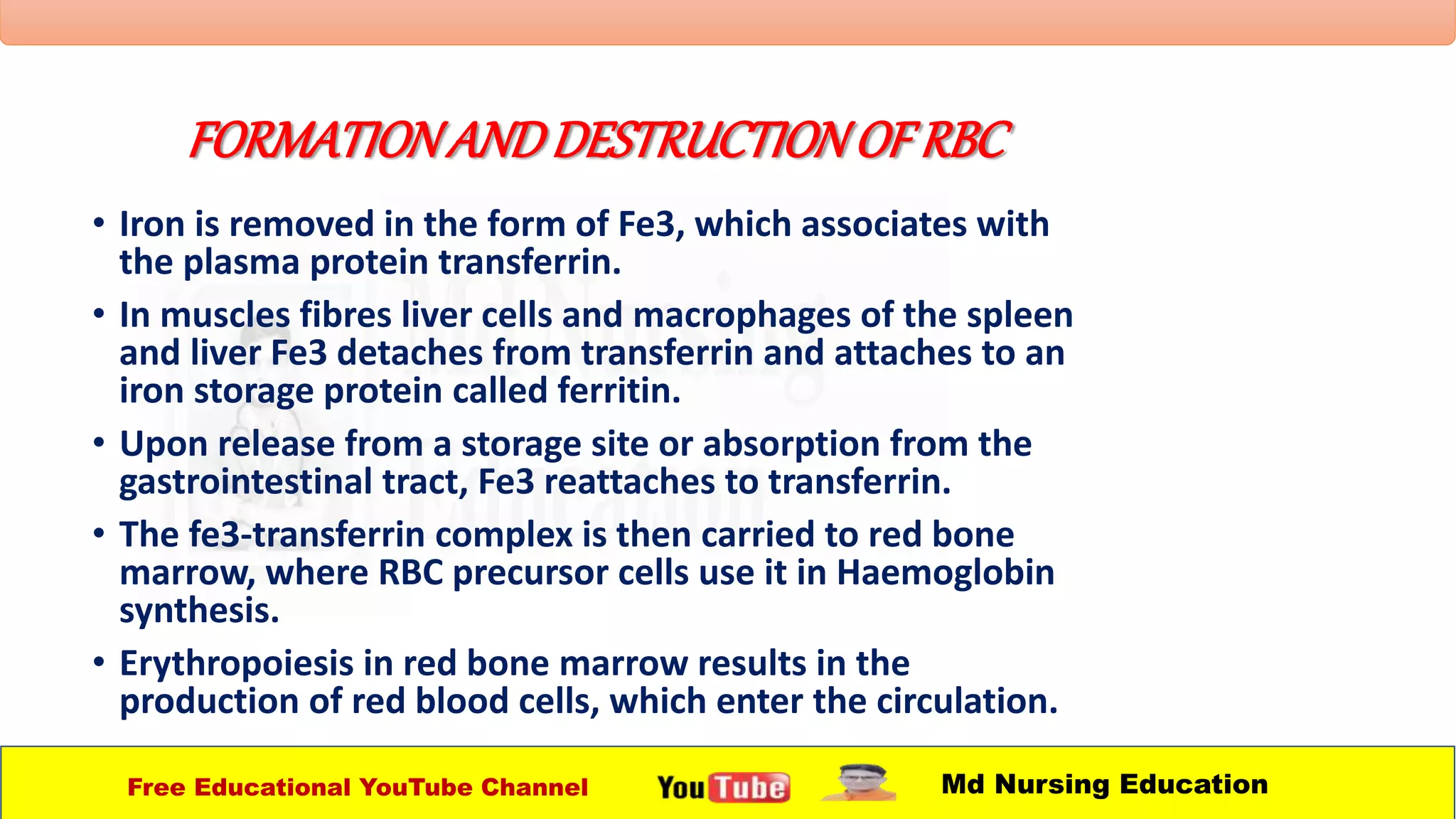 BLOOD / All About Blood/ Blood Group/ ABO Blood Group | PPTX