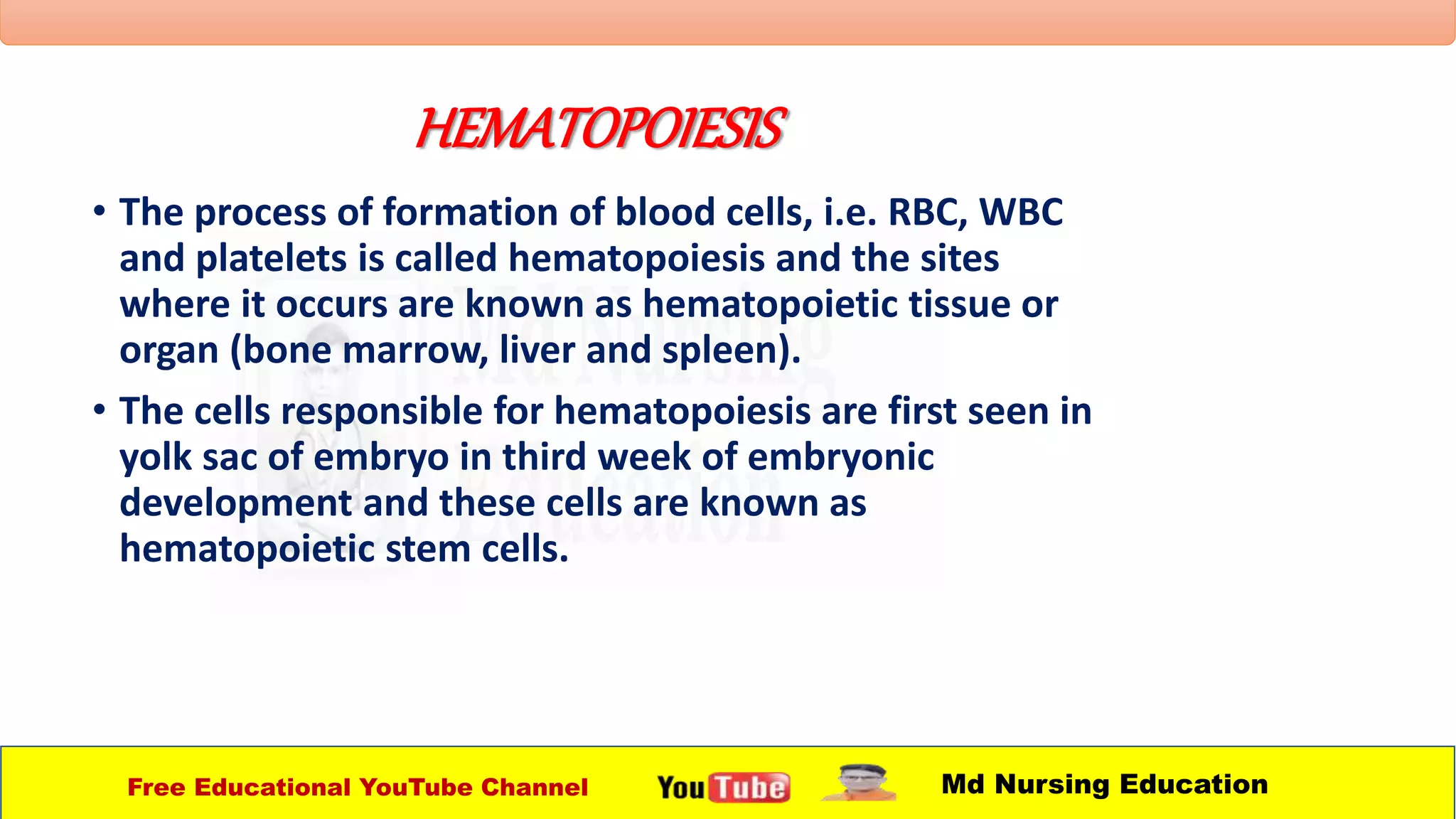 BLOOD / All About Blood/ Blood Group/ ABO Blood Group | PPTX