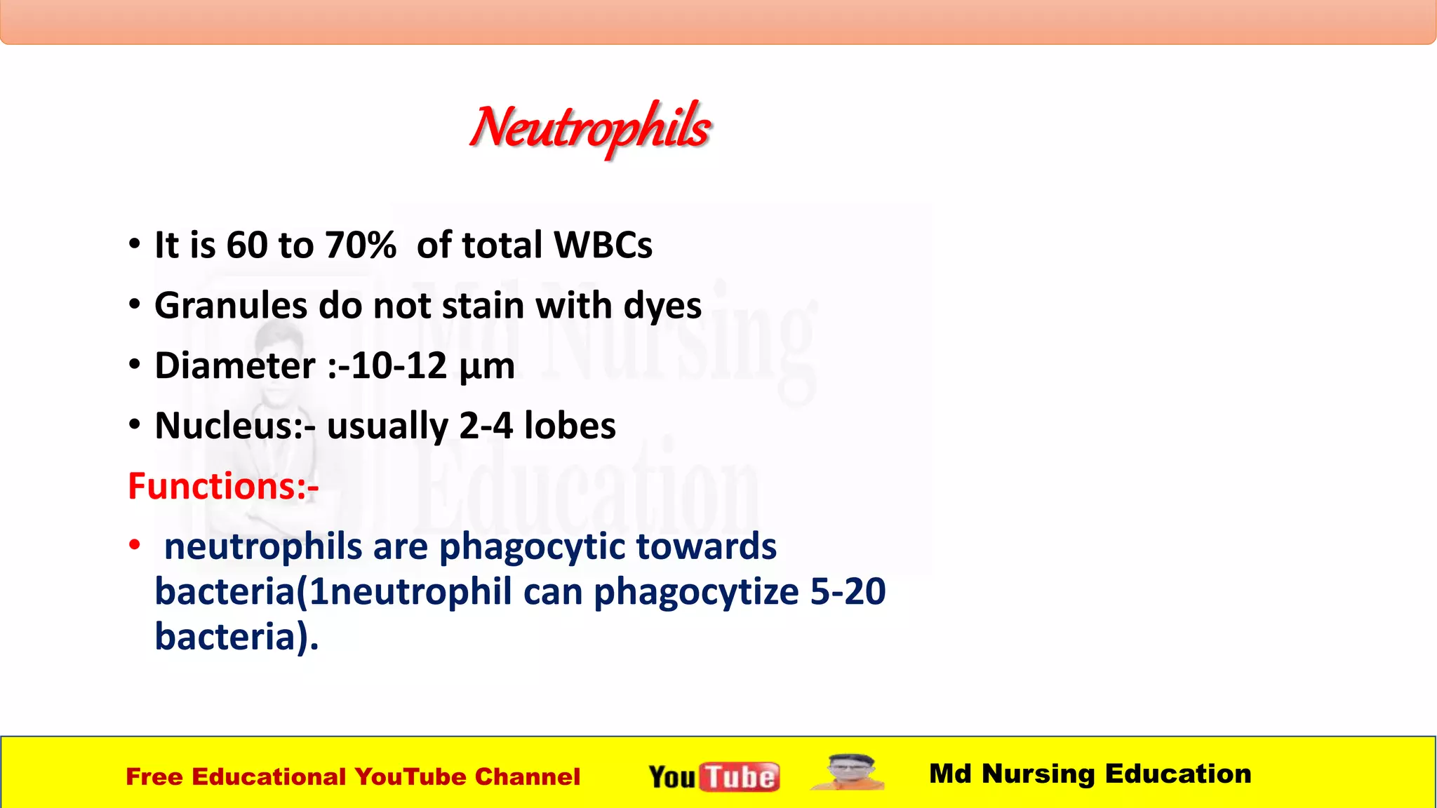 BLOOD / All About Blood/ Blood Group/ ABO Blood Group | PPTX
