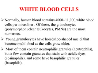 BLOOD | PDF | Blood Disorders | Diseases and Conditions