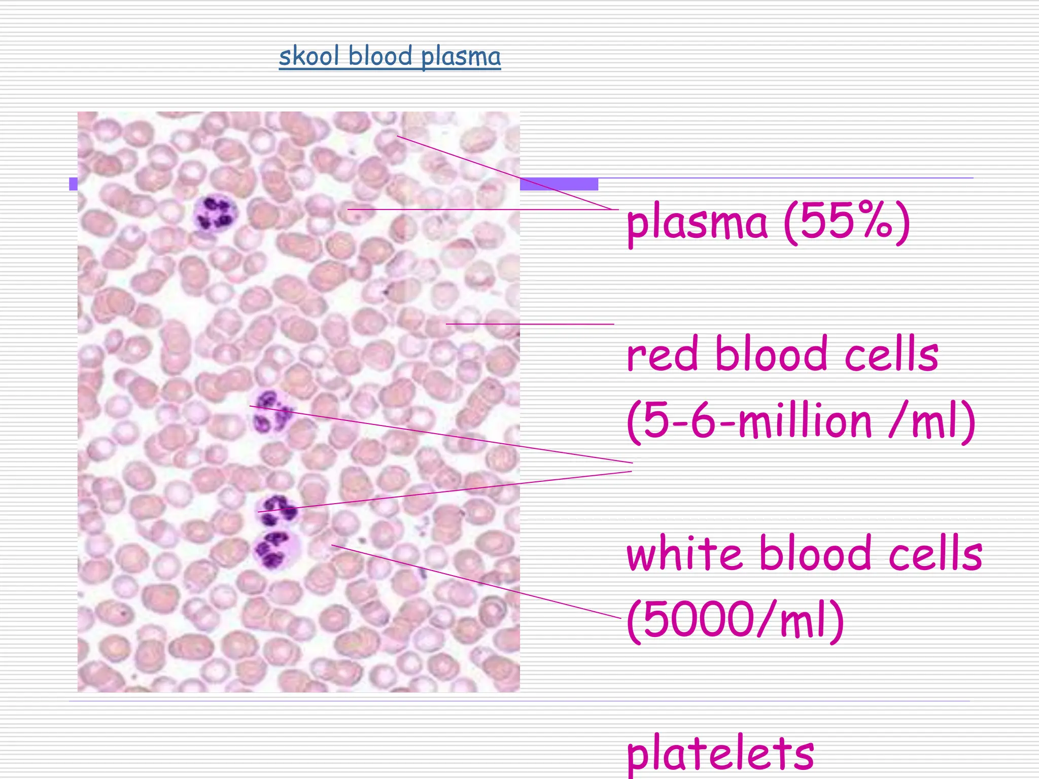 blood.pptx