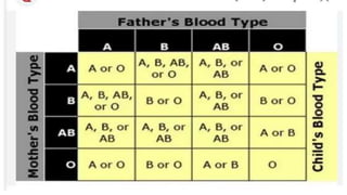 Types and Kinds of Human Blood and Heart | PPTX