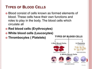 Blood(The Applied Physiology) for Nurses.pptx