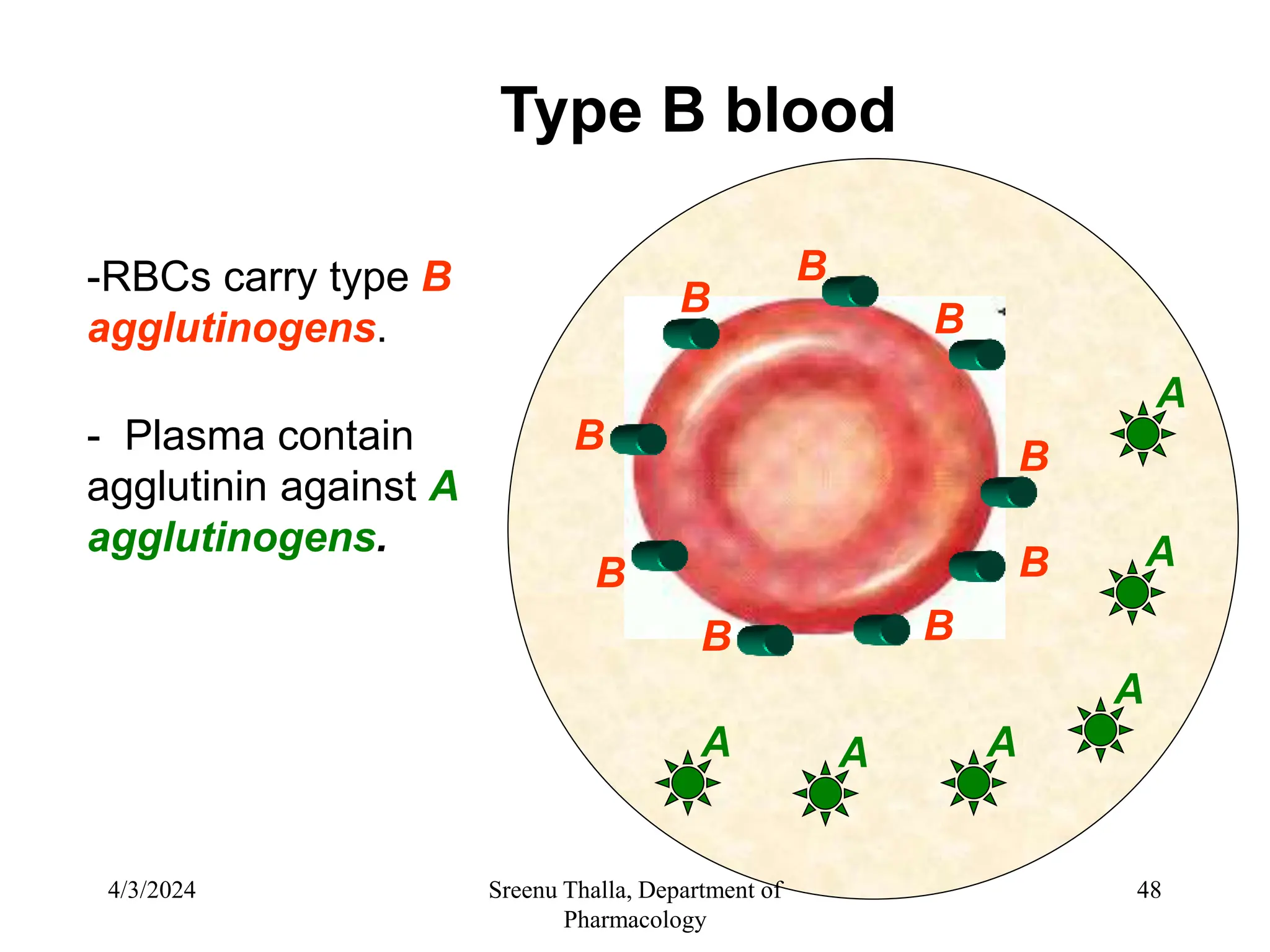 composition and functions of Blood physiology | PPT