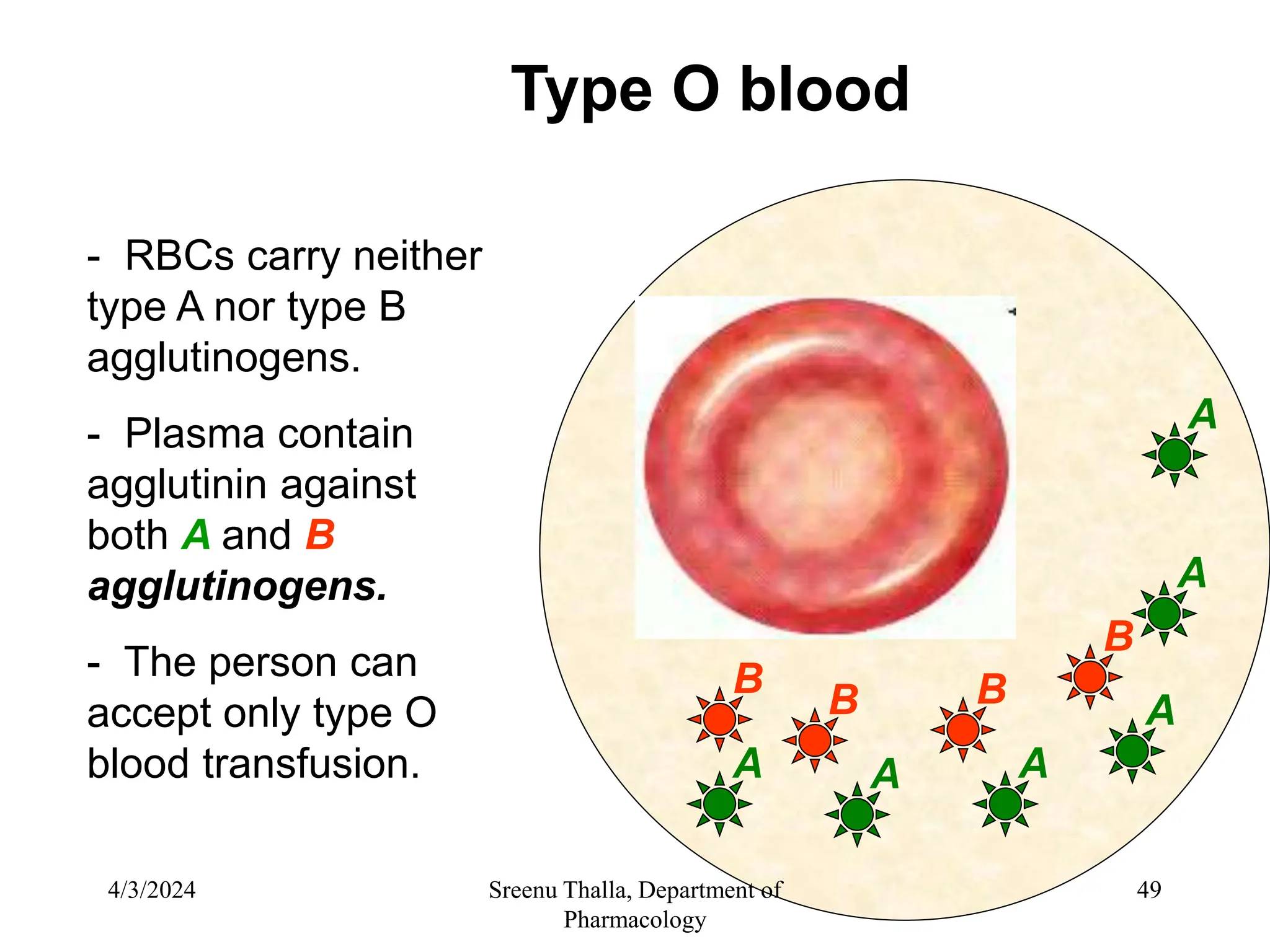 composition and functions of Blood physiology | PPT