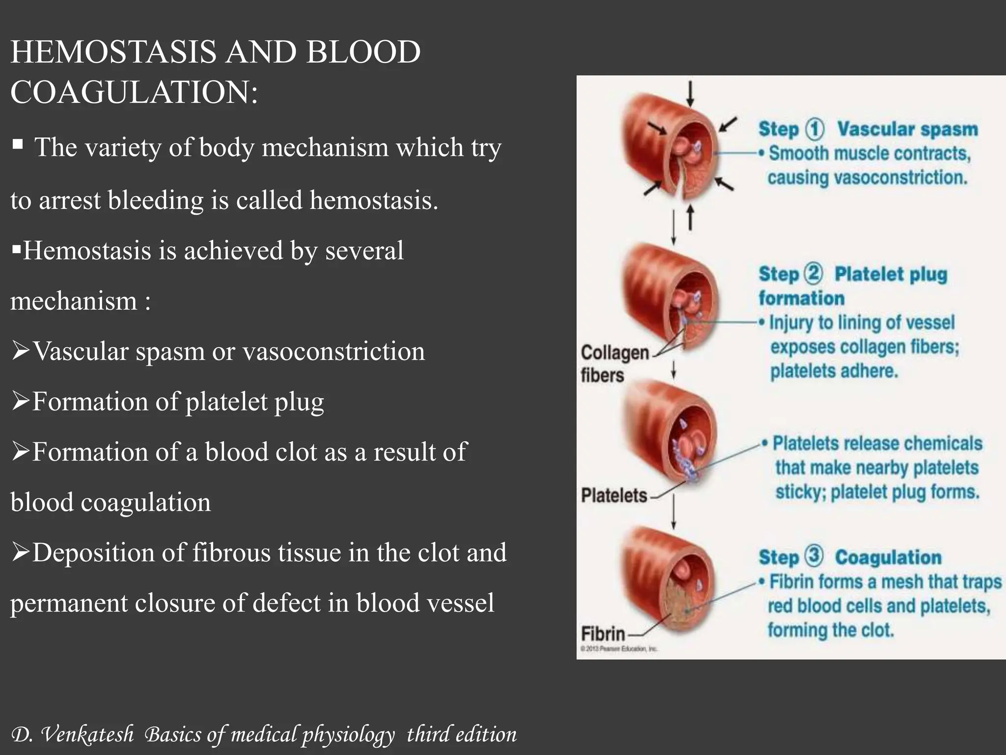 BLOOD physiology and pathology slides ppt | PPTX