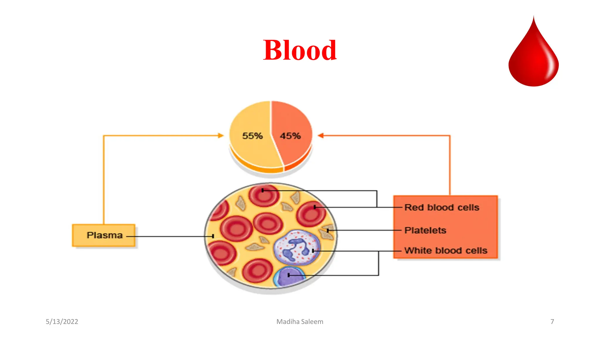 Blood composition and circulation all our body | PDF