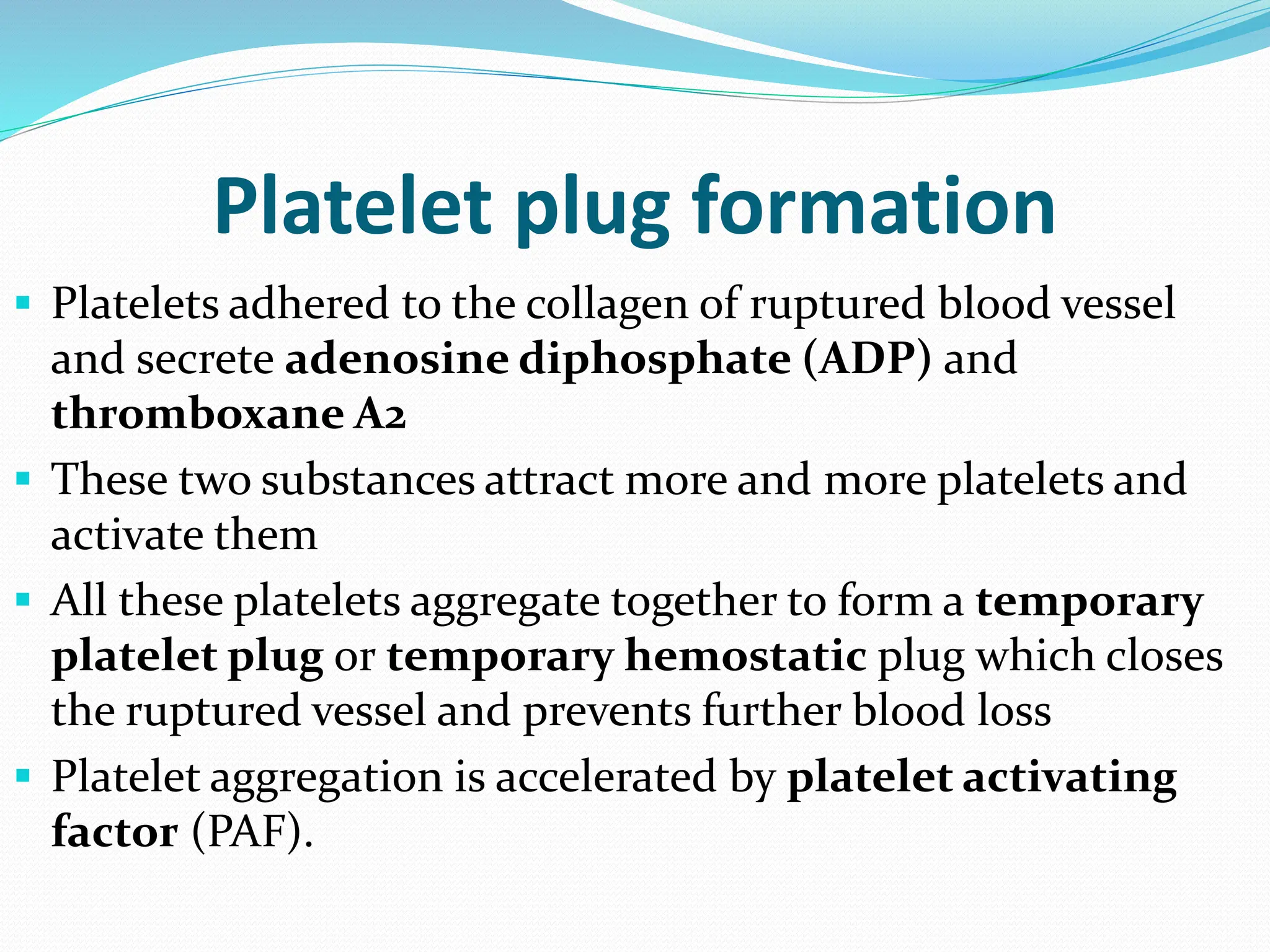 BLOOD AND HEMATOLOGY ANATOMY AND PHYSIOLOGY | PPTX