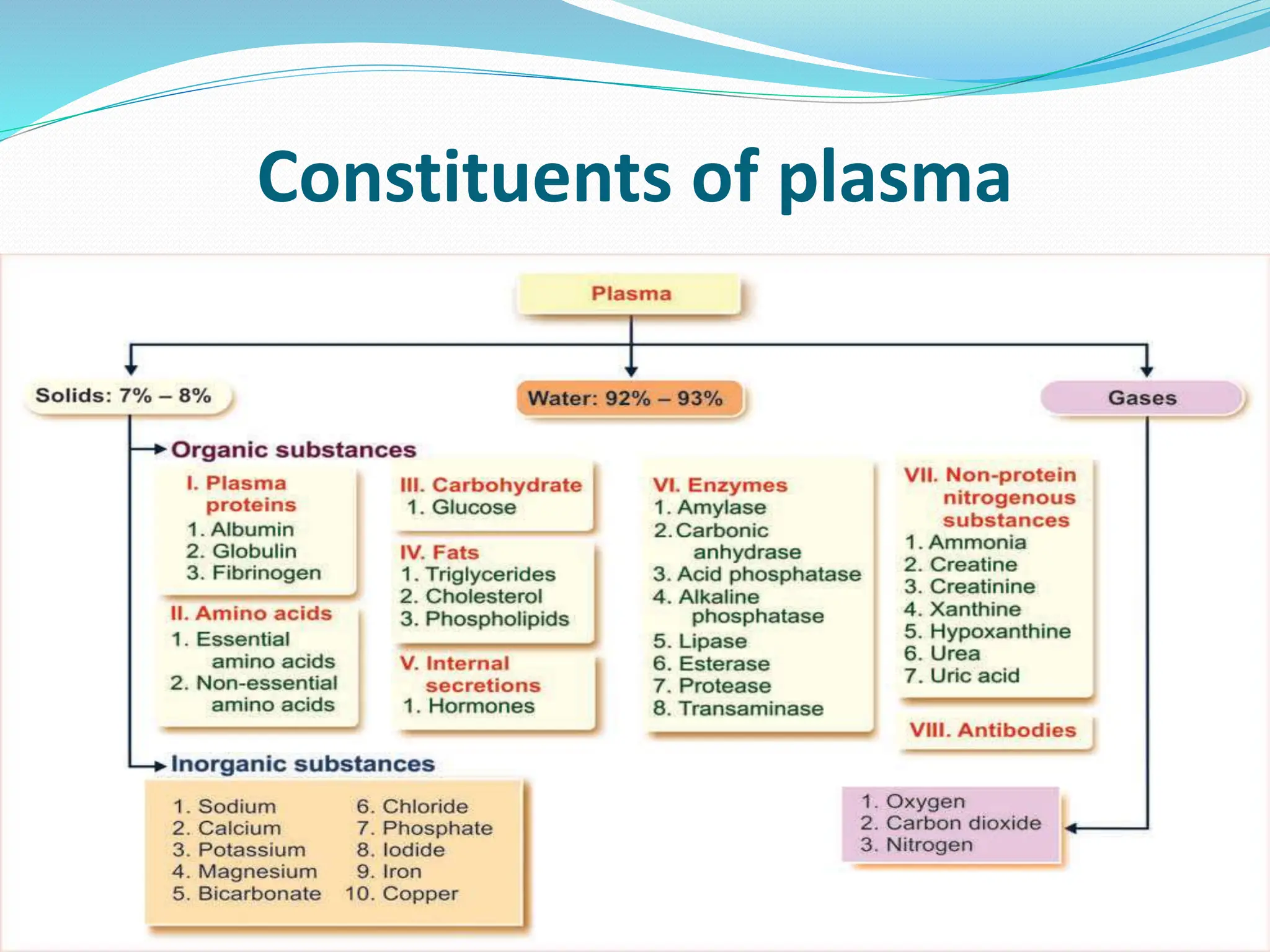 BLOOD AND HEMATOLOGY ANATOMY AND PHYSIOLOGY | PPT
