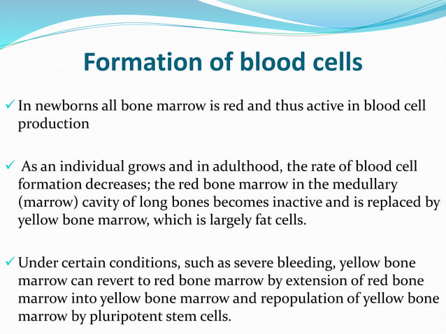 BLOOD AND HEMATOLOGY ANATOMY AND PHYSIOLOGY | PPT