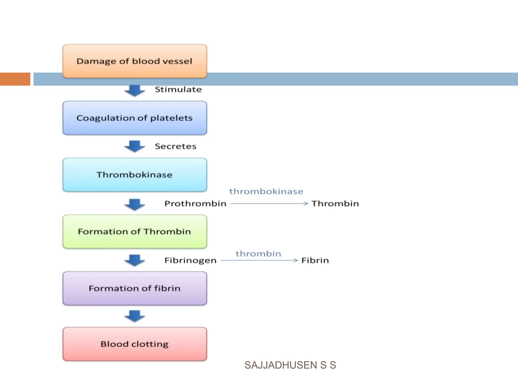 BLOOD nursing points for GNM, Bsc nursing students.pptx