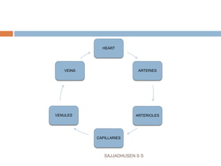 BLOOD nursing points for GNM, Bsc nursing students.pptx