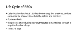 Anatomy and Physiology of Circulatory System | PPTX