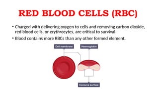 Anatomy and Physiology of Circulatory System | PPTX