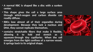 Anatomy and Physiology of Circulatory System | PPTX