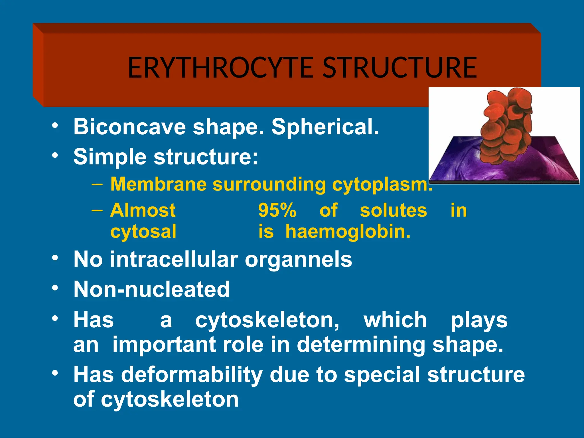 blood, formation, composition and types of cells | PPTX