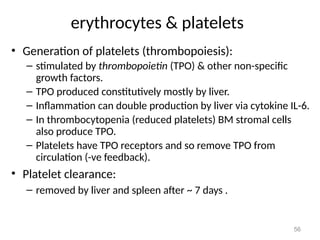 blood, formation, composition and types of cells | PPTX