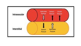 BLOOD group and components of blood .pptx