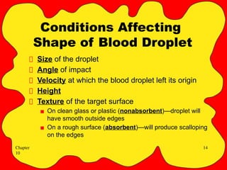 Blood Cells, Types, and Uses in Forensics | PPTX