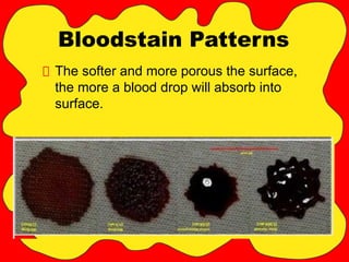 Blood Cells, Types, and Uses in Forensics | PPTX