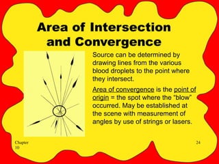 Blood Cells, Types, and Uses in Forensics | PPTX