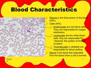Blood Cells, Types, and Uses in Forensics | PPTX