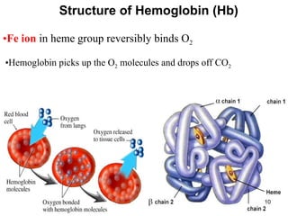 characteristics, types and functions of blood | PPT