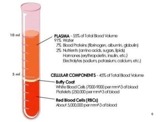 characteristics, types and functions of blood | PPT