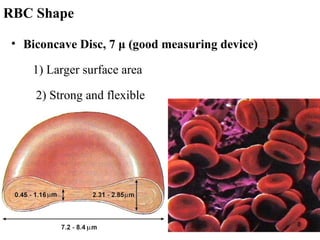 characteristics, types and functions of blood | PPT