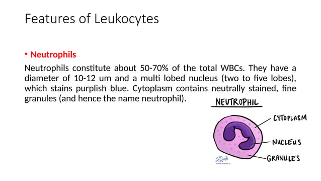 blood and blood components- ppt for GNM students | PPT